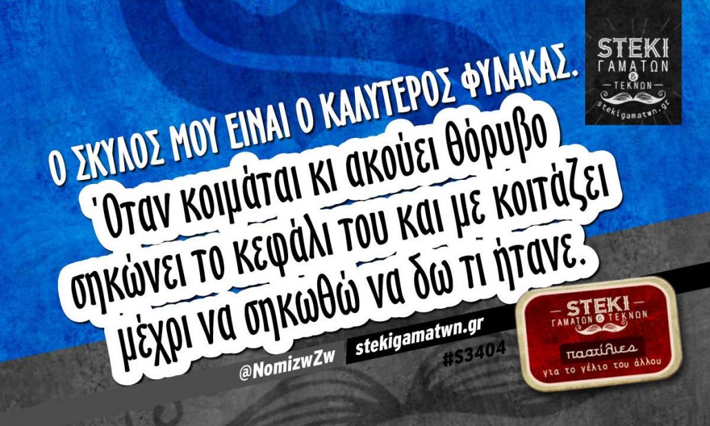 Ο σκύλος μου είναι ο καλύτερος φύλακας. @NomizwZw | Στέκι Γαμάτων & Τεκνών